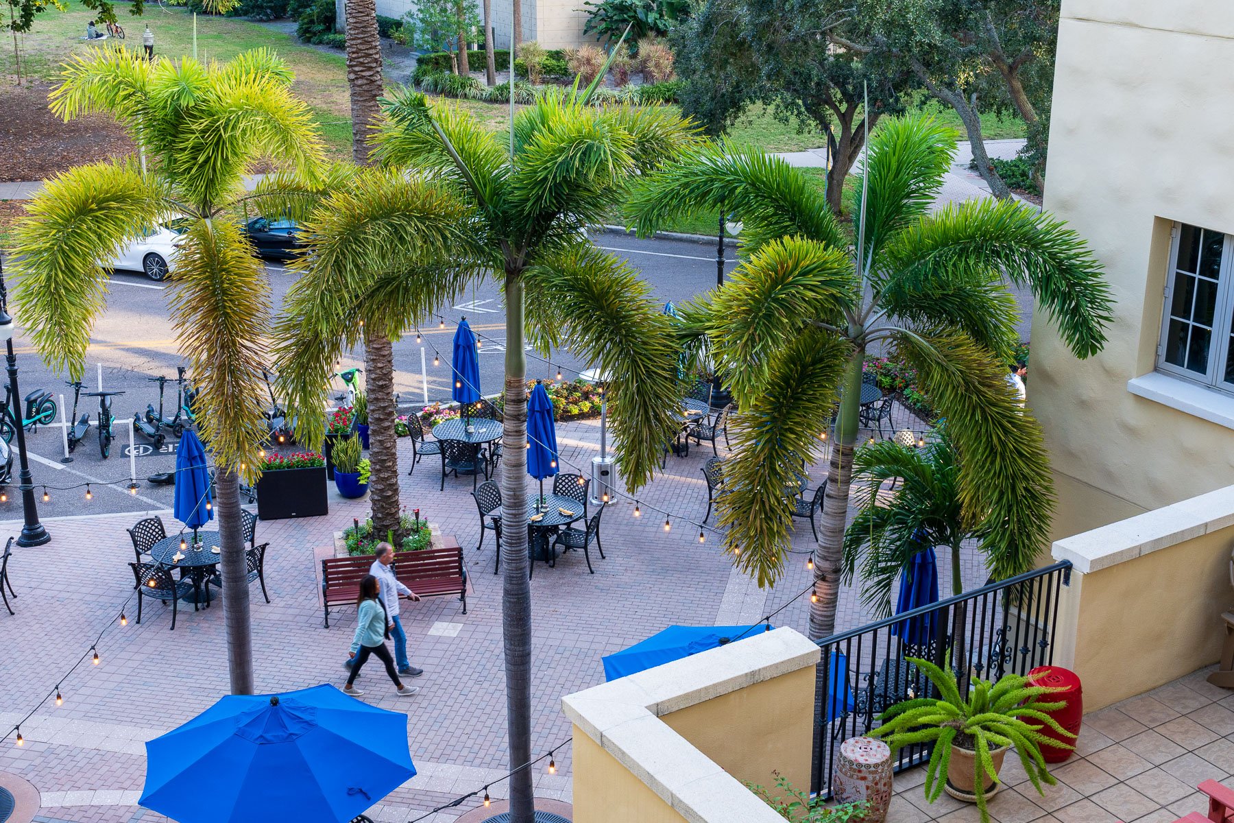 The Complete Guide to HOA Landscaping in Tampa Bay