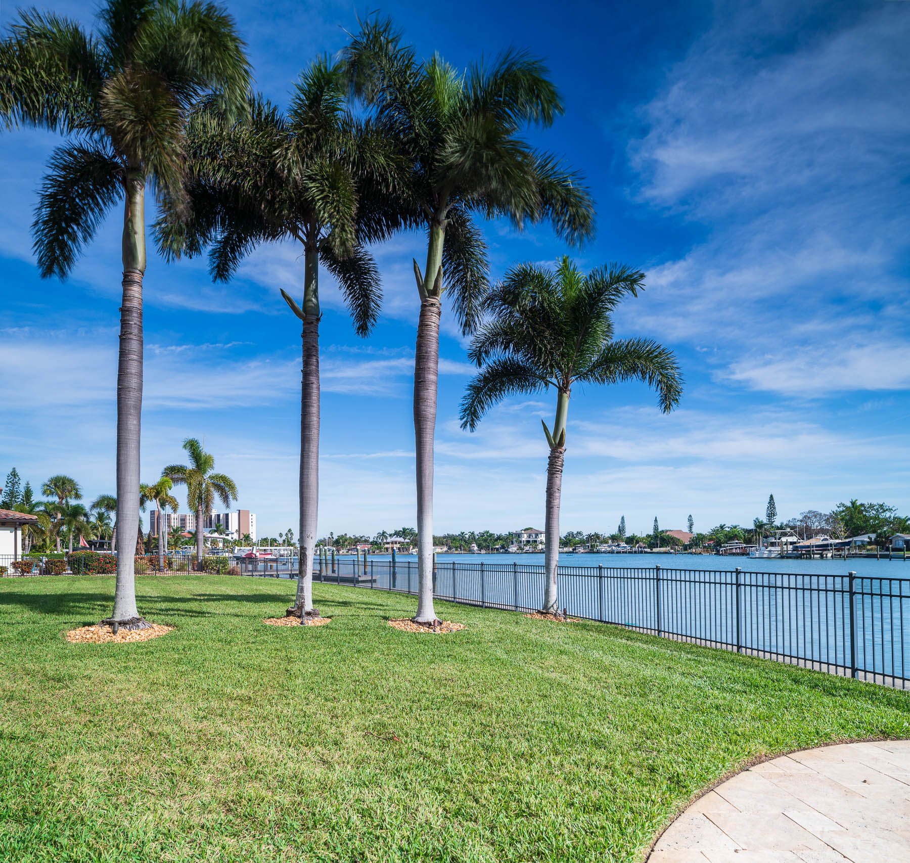 An Ode to the Palm Tree: Our Top 5 Palms for Florida Yards