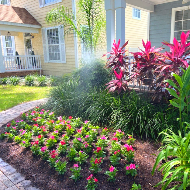 Top 5 Tips For Florida-Friendly Landscape Care