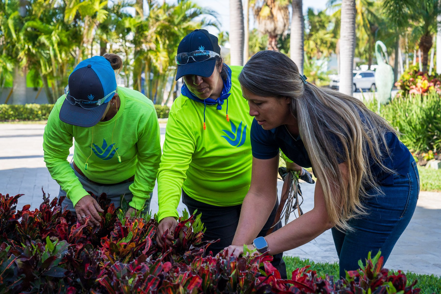 8 Best Low-Maintenance Outdoor Plants for Florida