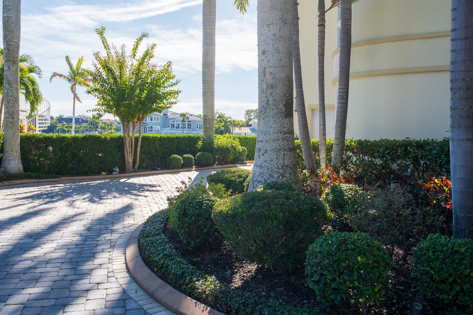 The Best Salt-Tolerant Plants for Your Coastal Florida Landscape