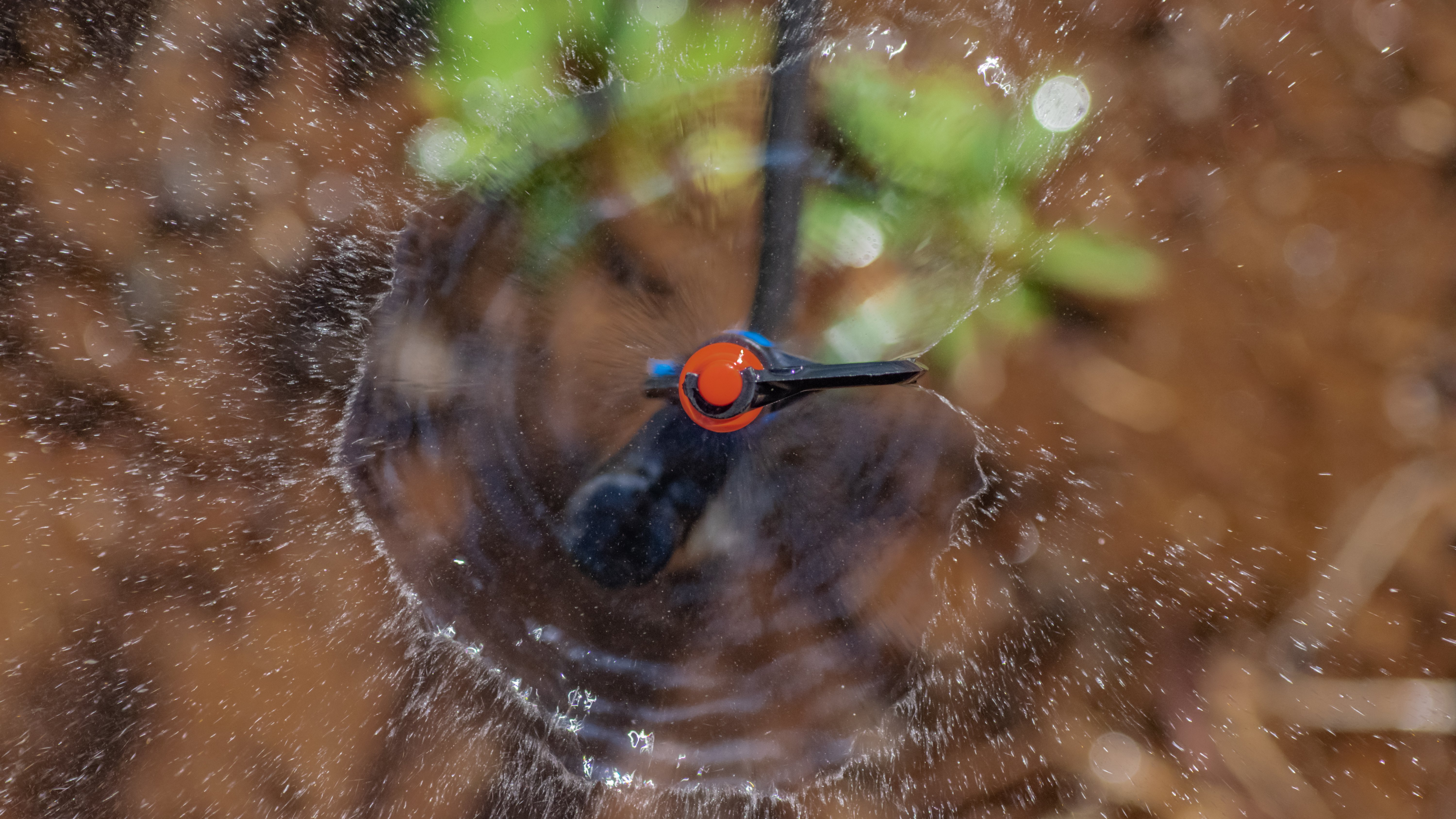 Seasonal Irrigation Tips for Maintaining HOA Green Spaces