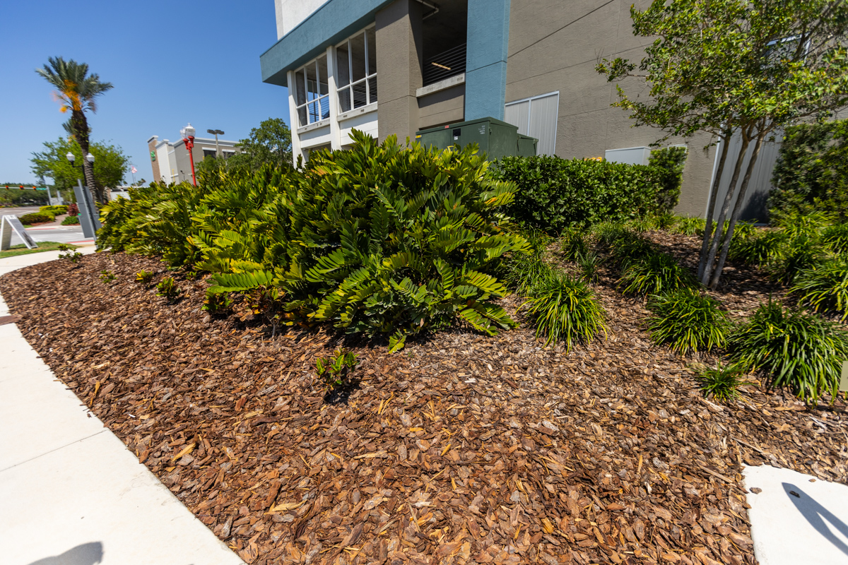 Is Your Landscape Over Mulched? 6 Signs to Watch For